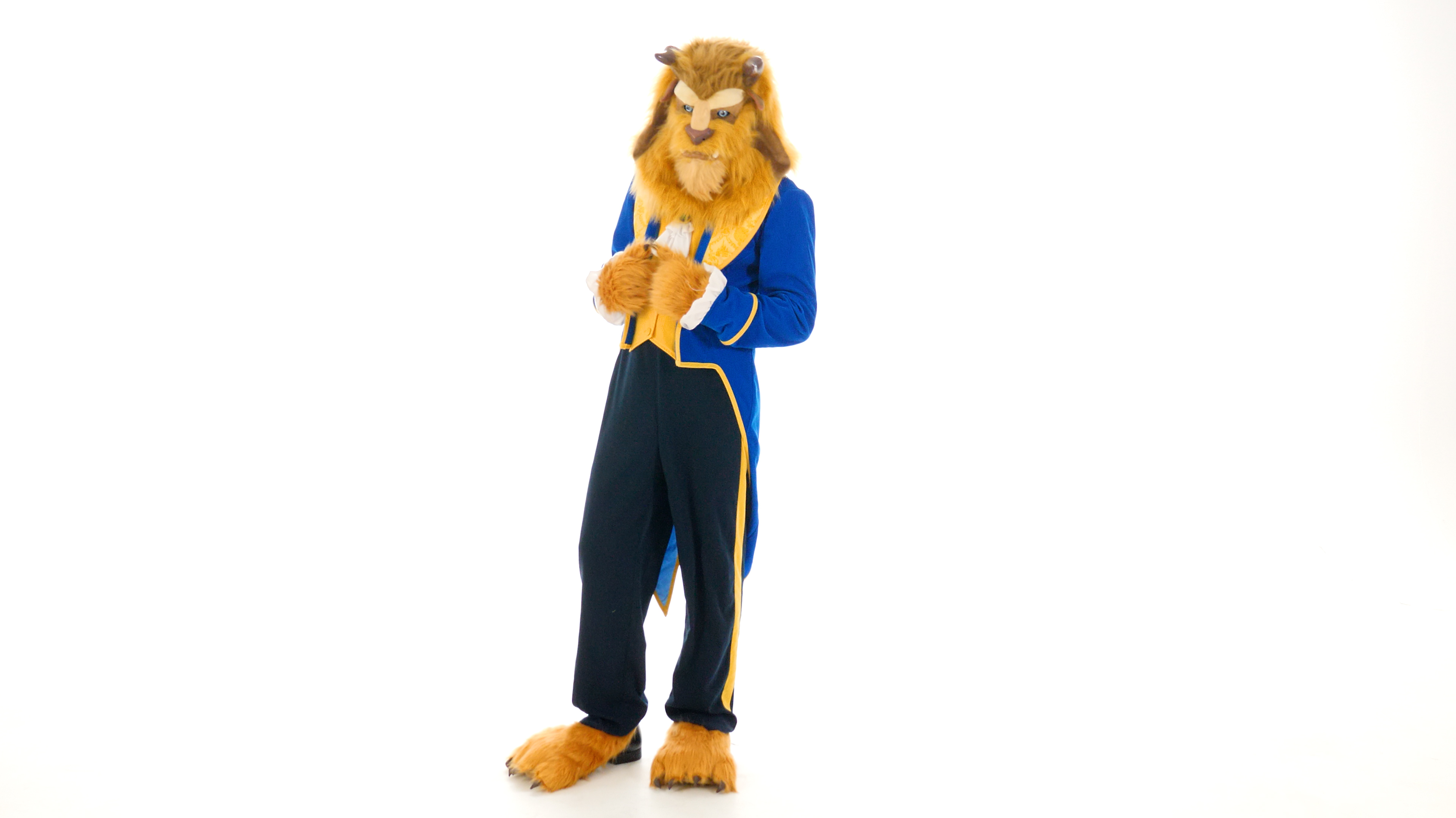 Men's Beauty and the Beast Authentic Beast Costume