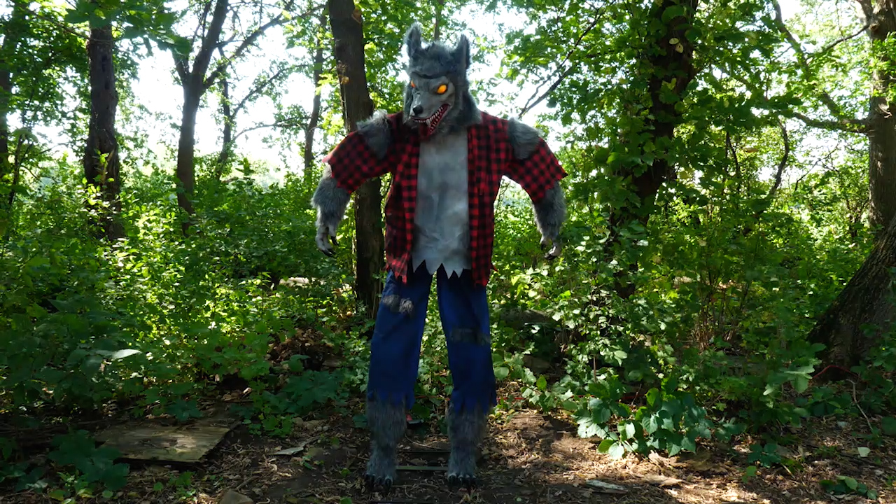 6FT Animated Classic Werewolf Halloween Prop | Werewolf Decorations