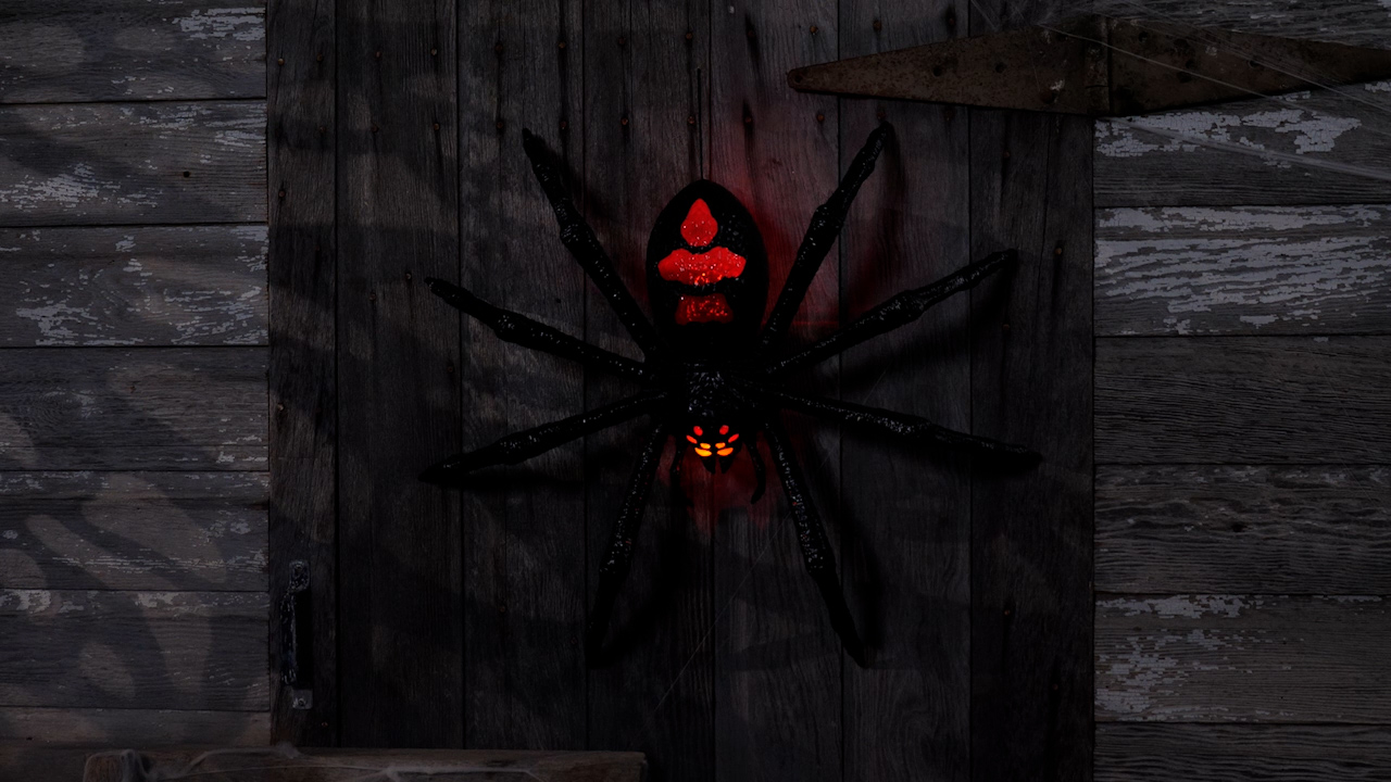 2FT Light Up Red Seasonal Visions Spider Prop Decoration | Seasonal ...