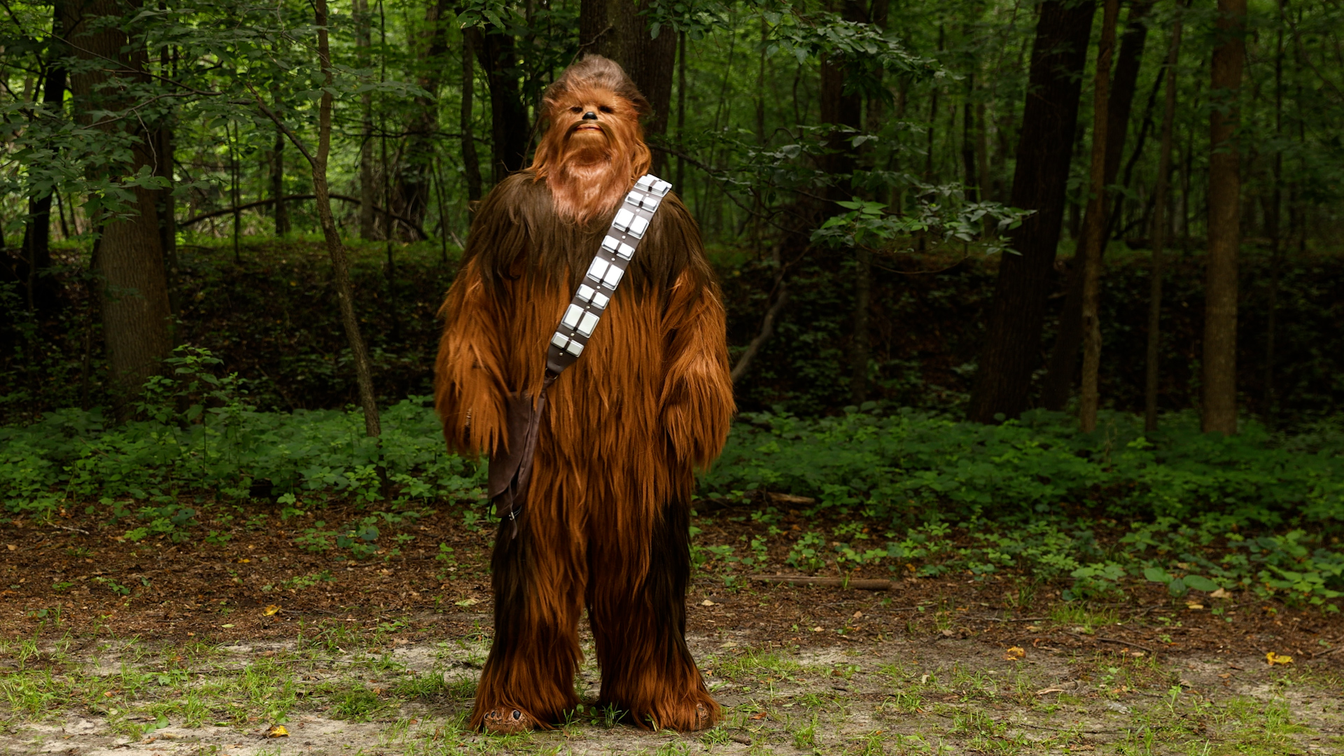 Plus Size Authentic Star Wars Chewbacca Men's Costume | Star Wars Costumes