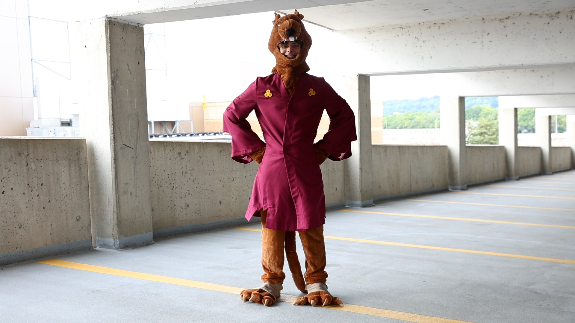 Teenage Mutant Ninja Turtles Master Splinter Men's Costume ...