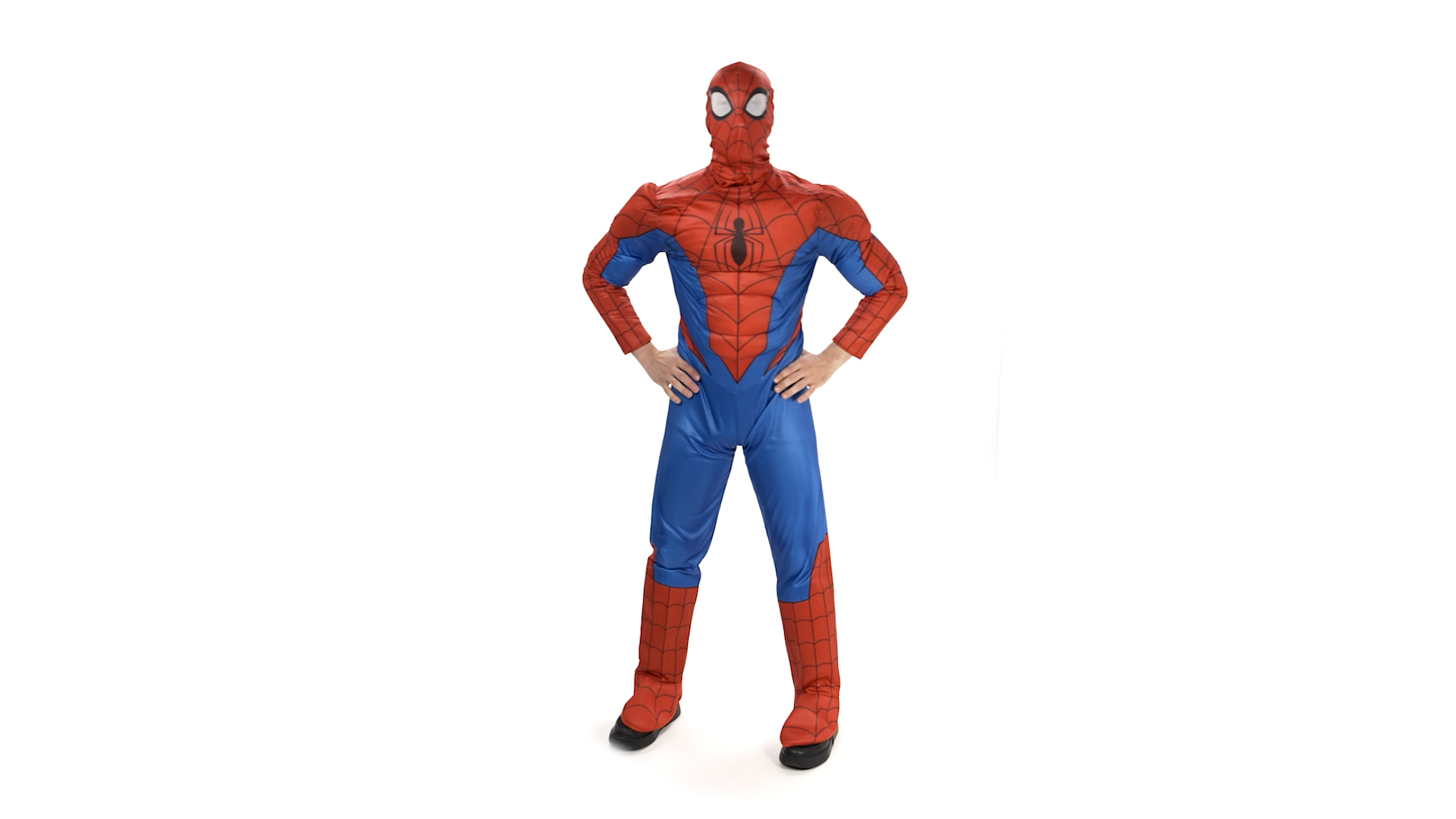 Spider-Man Adult Costume