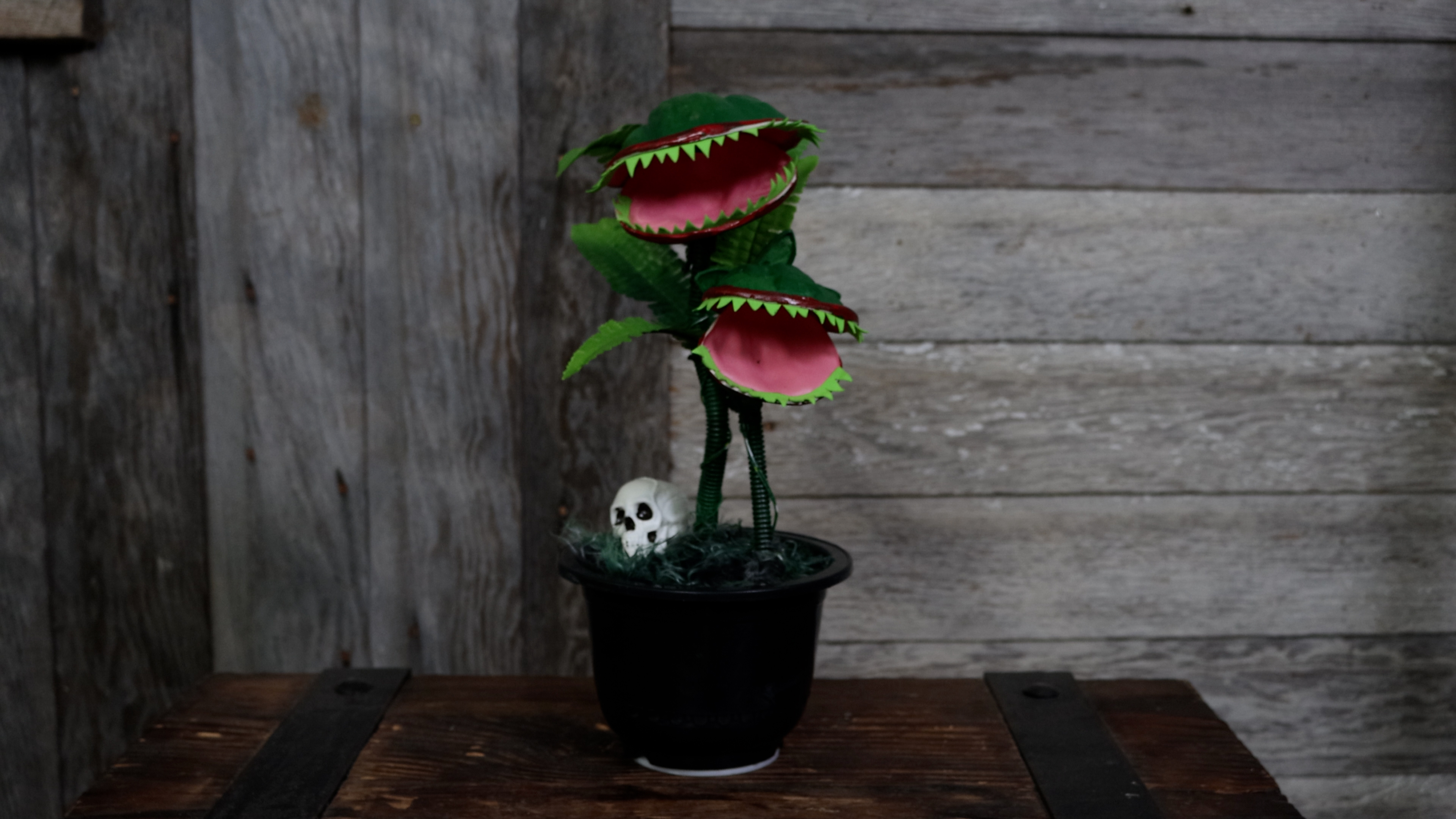 15-Inch Dancing Corpse Flower Plant Decoration | Table Decorations