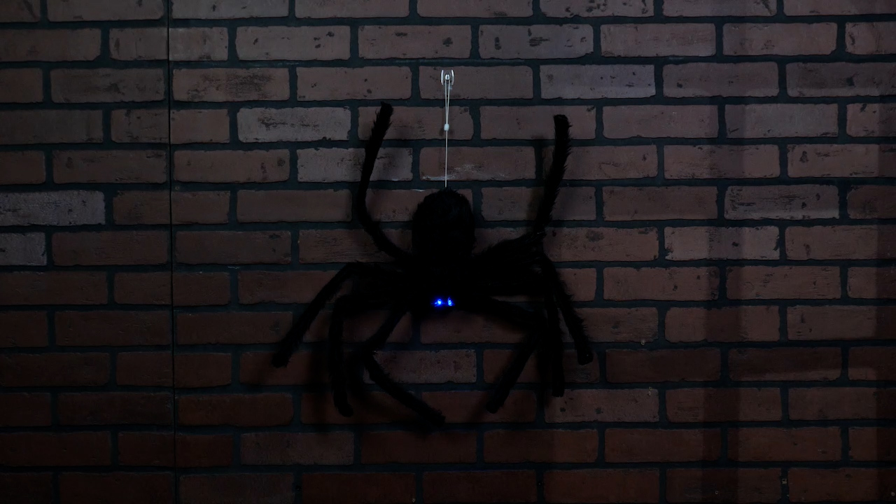Floating Dropping Black Spider Prop | Spider Decorations